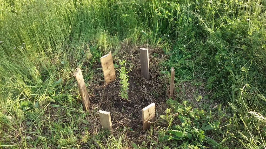 daybyday – eigenLab